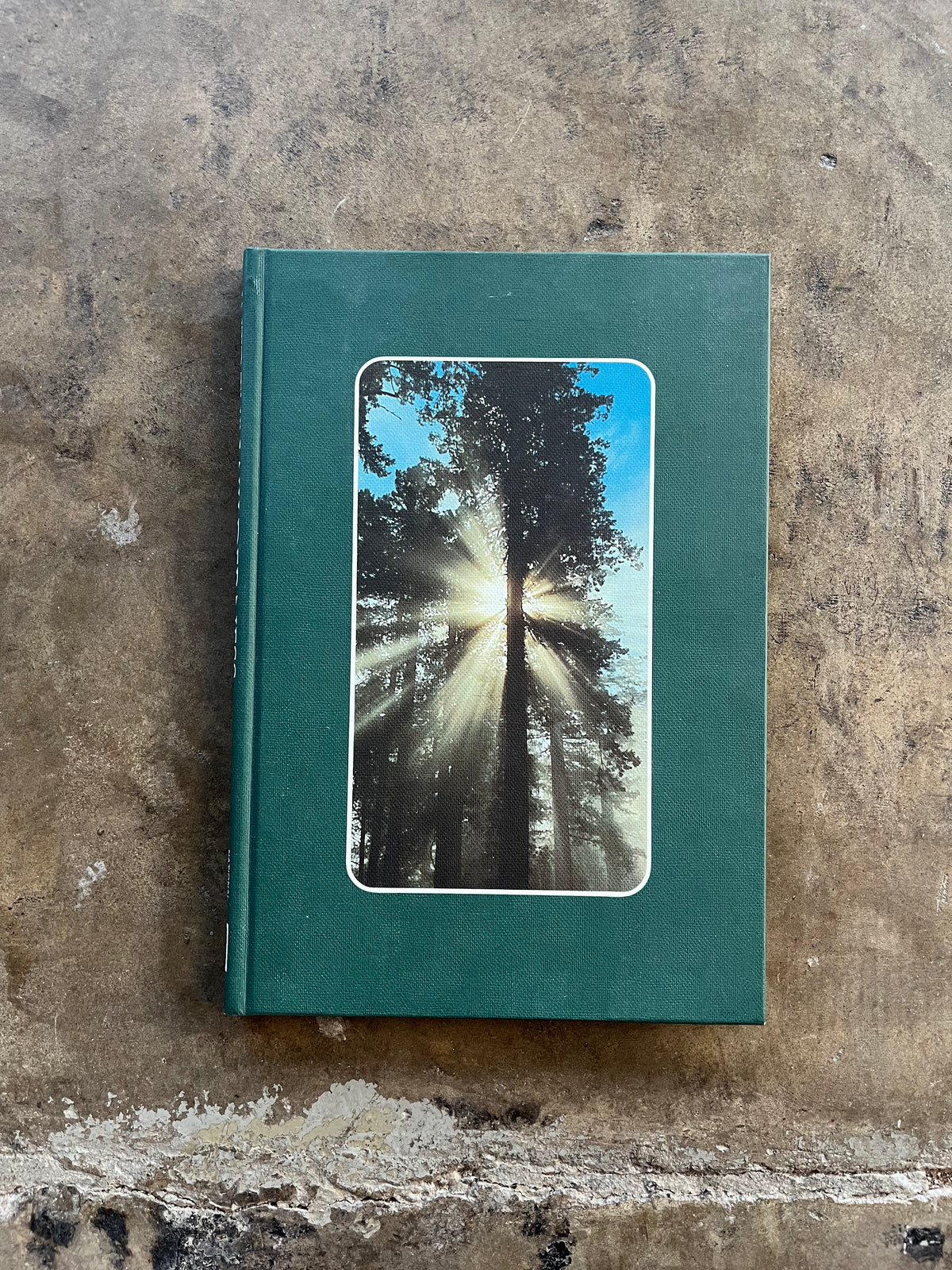 "Into The Wilderness" Book